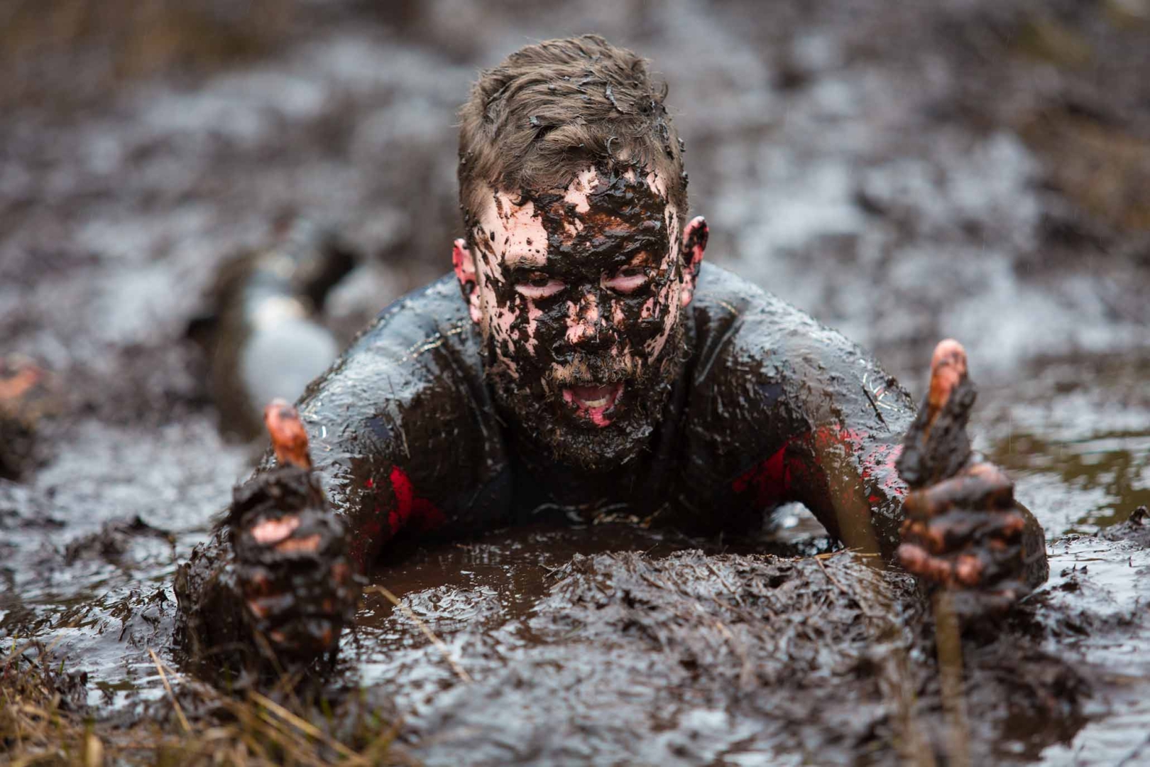 Bog Obstacle - Delphi Resort